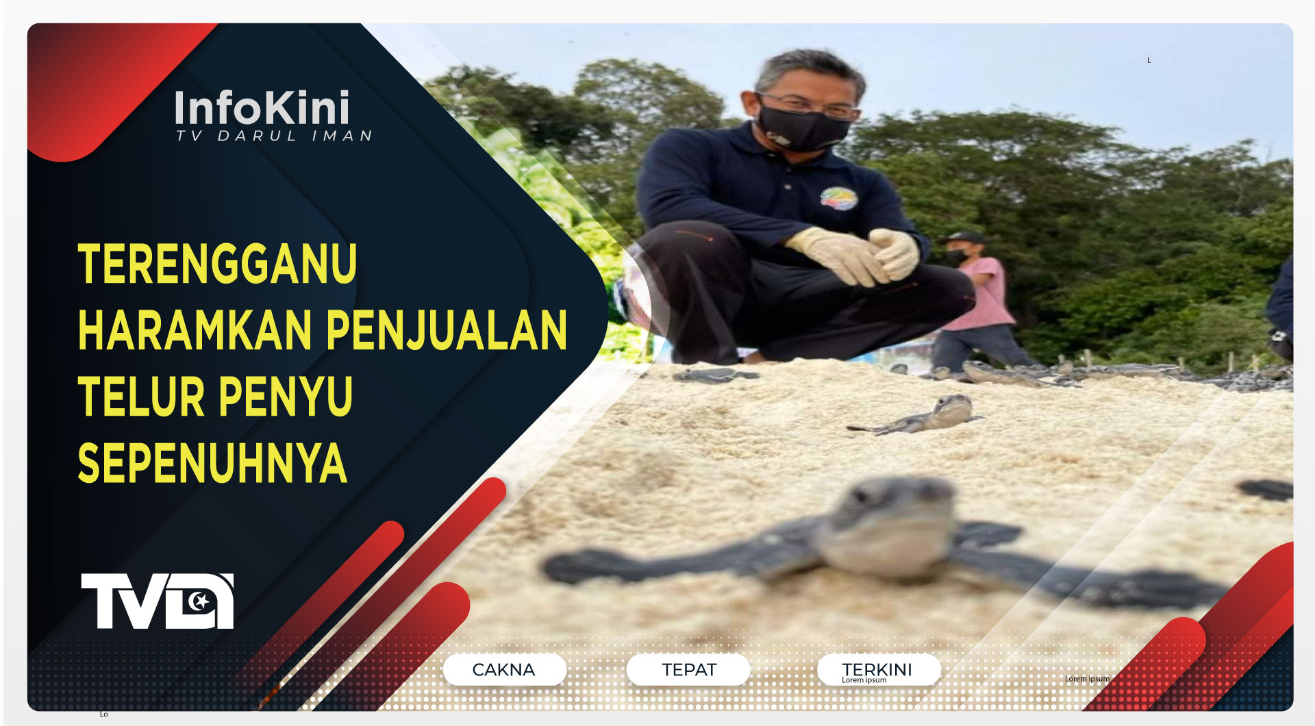 TERENGGANU HARAMKAN PENJUALAN TELUR PENYU SEPENUHNYA - TRDI News