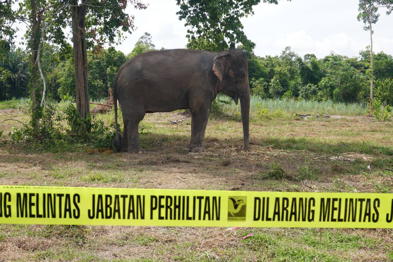 Abdul Karim Dilantik CEO SATU Bermula 1 September Ini - TRDI News