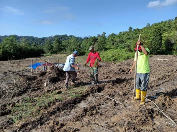Padang Ragut 20.25 Hektar Selesai Masalah Haiwan Berkeliaran - TRDI News