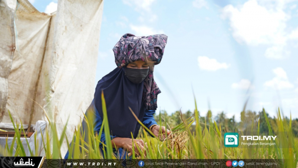 Padang Ragut Rakyat Bukit Lebam Siap Tahun Ini - TRDI News