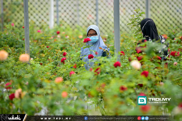 Taman Zety Roses - TRDI News