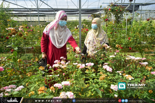 Zetty Roses Bakal Terokai Industri Pati Minyak Wangi - TRDI News