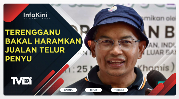 Terengganu Bakal Haramkan Jualan Telur Penyu - TRDI News