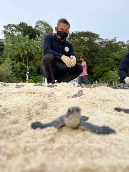 SIDANG DUN : Terengganu Haramkan Penjualan Telur Penyu Sepenuhnya - TRDI News