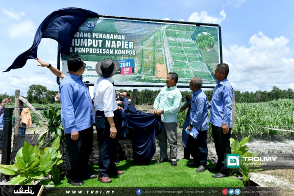 Terengganu Hasilkan Silaj, Baja Kompos Dari Rumput Napier - TRDI News