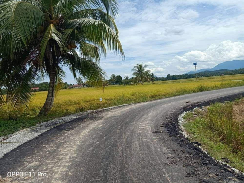 Turap Jalan Untuk Pesawah - TRDI News